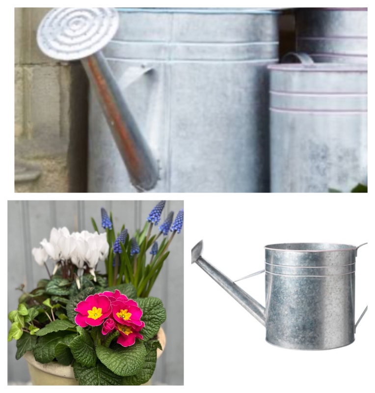 Watering Can Planter – buy online or call 01473 725551